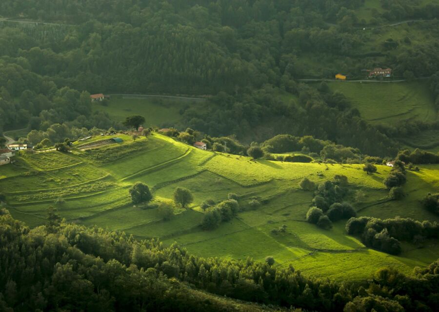 Sierra de El Sueve - Beatriz Montes Photographer